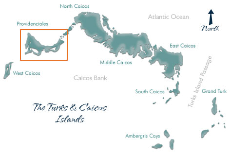 Snorkeling in the Turks and Caicos - The Sands